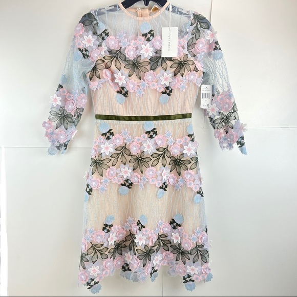 foxiedox | Dresses | Foxiedox Anthropologie Floral Appliqu Mesh Dress ...